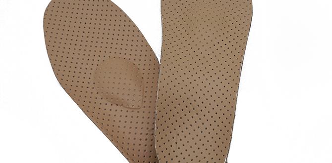 Eva Insoles Explained: Benefits & Features Uncovered!